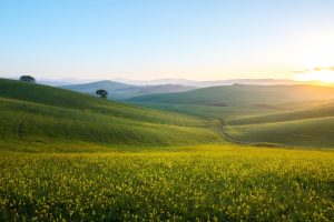 Infrastructure: Core and Core Plus Strategies Take Center Stage in the ...